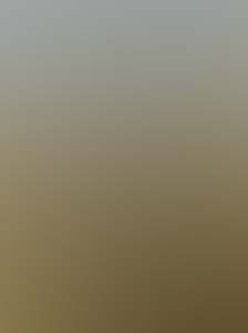 Introducing Film Maker Patty Greer and her Crop Circles - UFO Digest