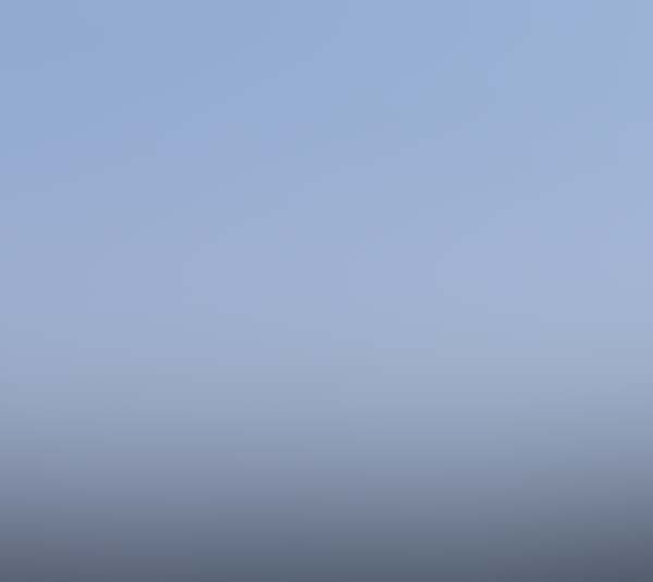 "THE HISTORIC LAGUNA LAKE 'THEREMIN UFO' INCIDENT - UFO Digest